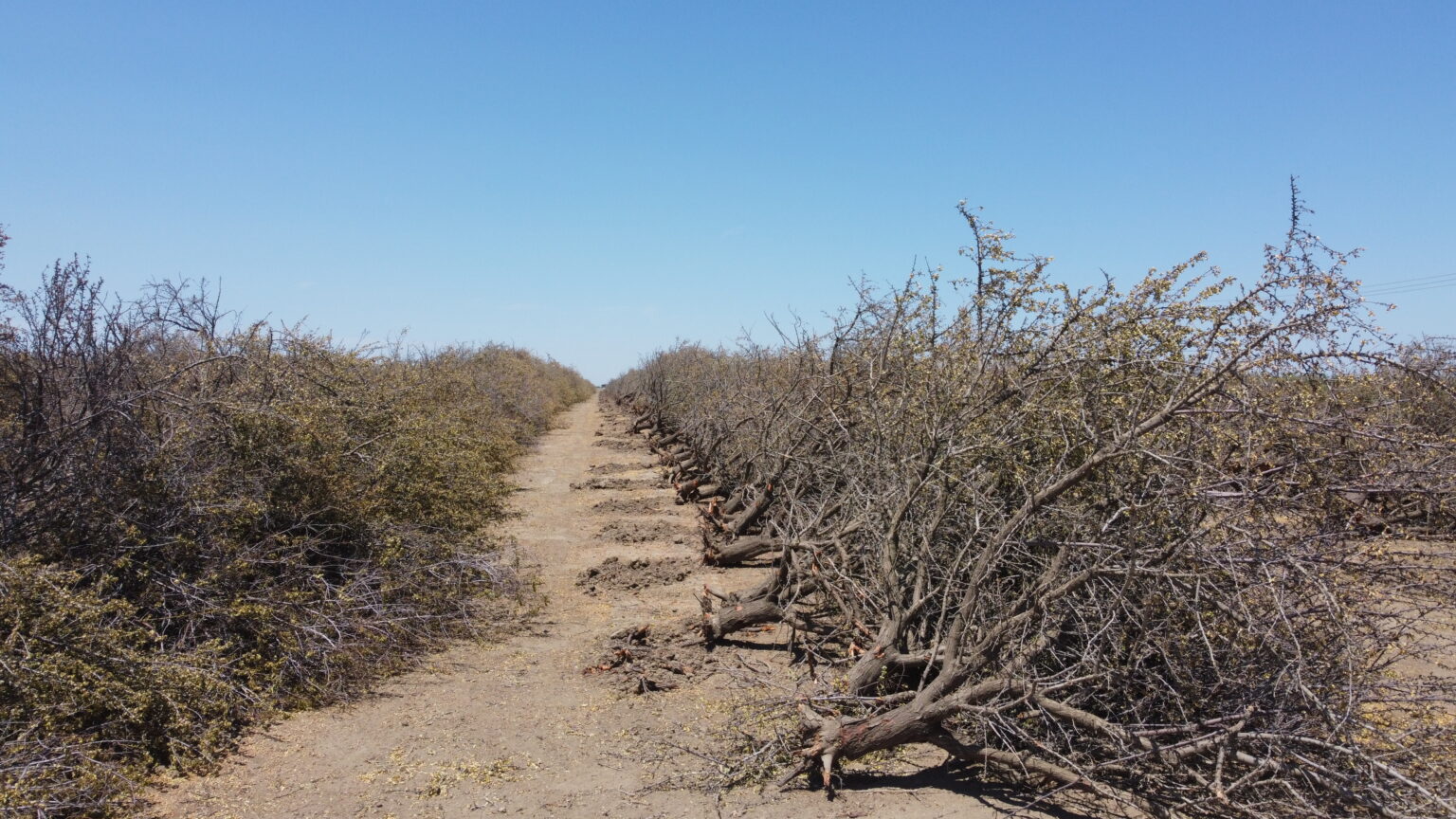 CDEC Reservoir Levels Map - California Farm Water Coalition